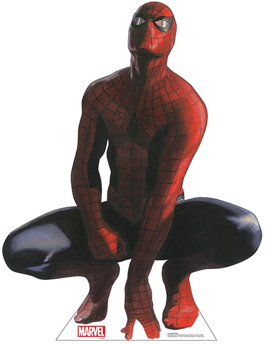 Spider-Man Standee 37"W x 48"H – MATTEO PARTY
