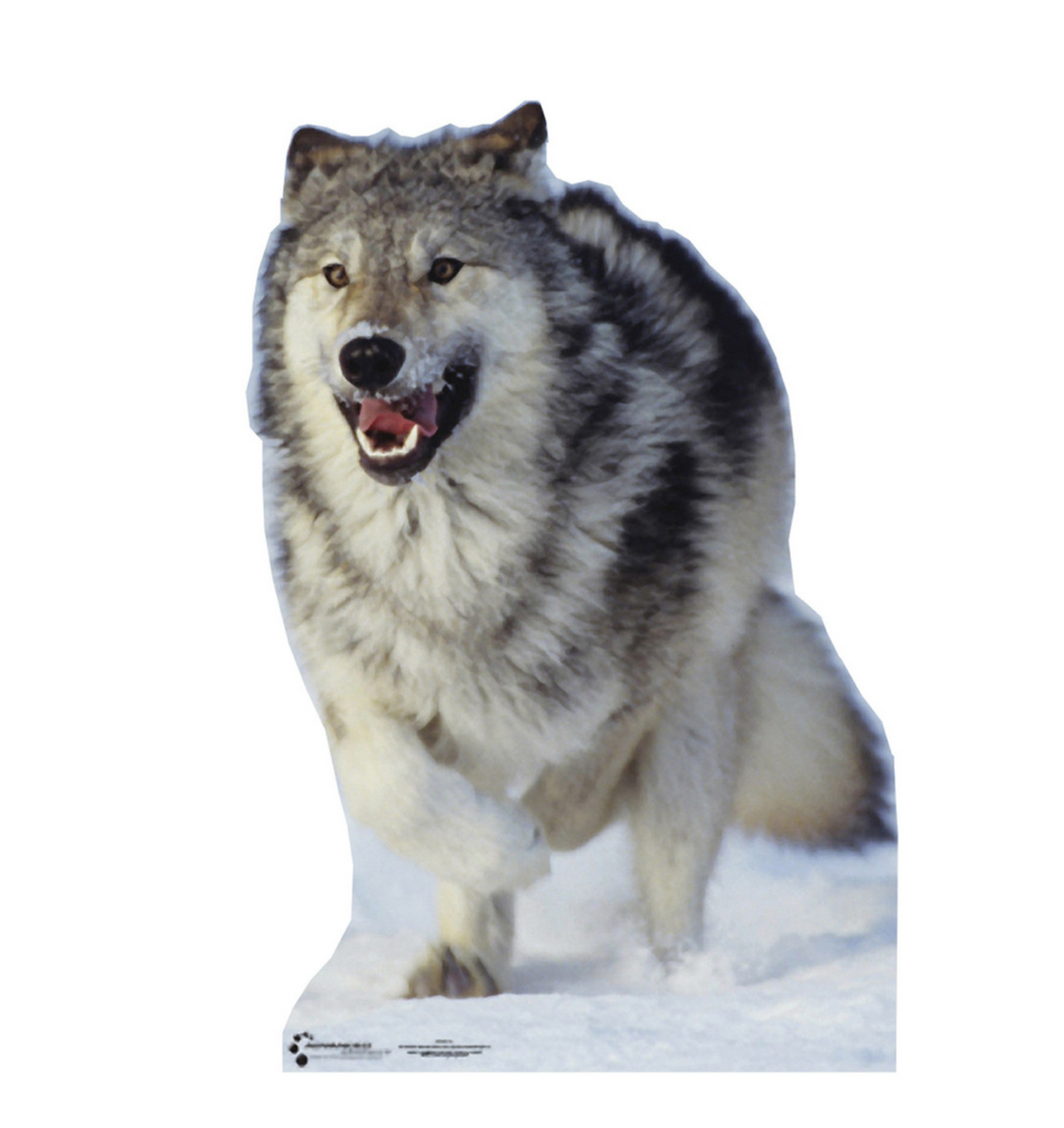 Wolf Standee 43"(H) x31" (W) – MATTEO PARTY